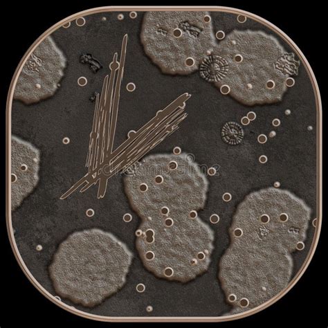 Lichen Et Champignons Sous Le Microscope Photo Stock Image Du Chimie