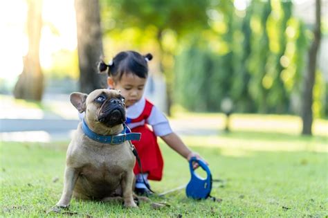 Jolie enfant de sexe féminin asiatique avec son chien de compagnie dans un parc Photo Gratuite