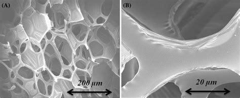 A B Sem Micrographs Of Non Treated Pu Foams Download Scientific Diagram