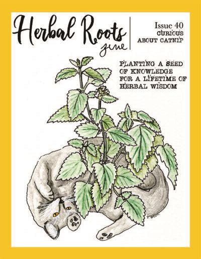 Catnip Issue 40 Herbal Roots Zine