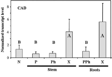 Figure 2 From Genetic Transformation And Hybridization Semantic Scholar