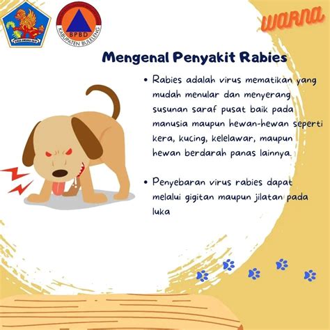 Mengenal Penyakit Rabies Pada Hewan Kesayangan Kita Badan