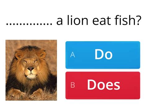 Do Does Cuestionario