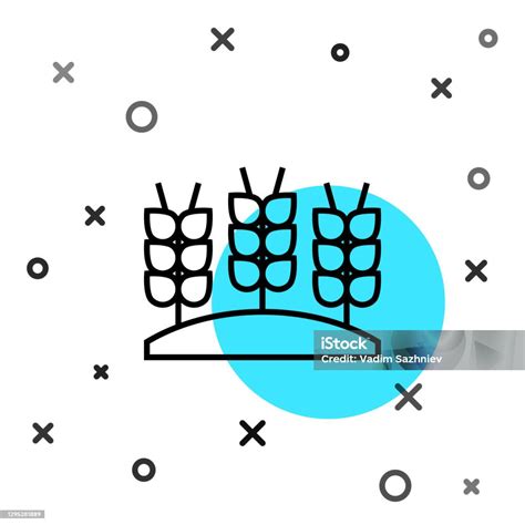 쌀 밀 옥수수 귀리 호밀 보리 아이콘이 흰색 배경에 고립된 검은 색 라인 시리얼 밀 빵 기호의 귀 임의동적 모양 벡터 가을에