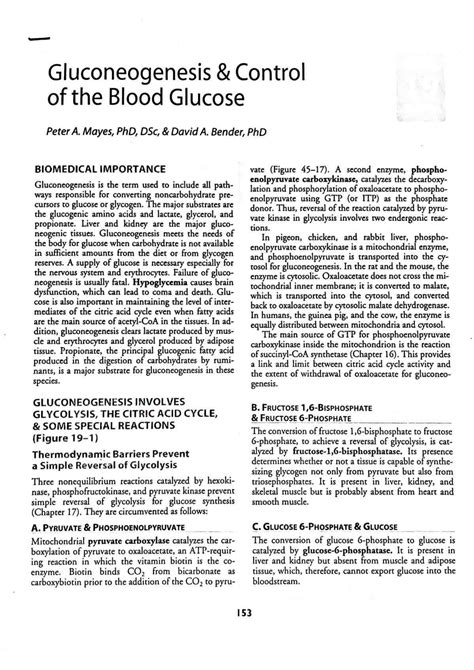 Gluconeogenesis Biochemistry Studocu
