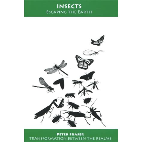 Insects Escaping The Earth Emryss