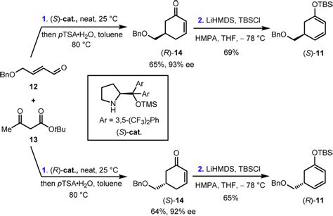 Synthesis Of Enantiopure Cyclohexa 1 3 Dienol Silyl Ether S 11 And Download Scientific