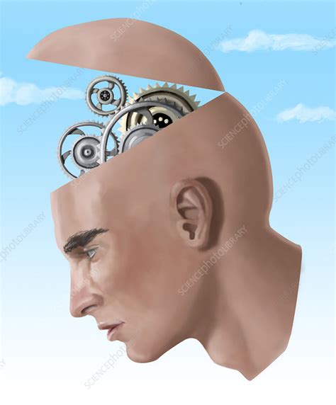 Brain Cogs Stock Image C027 4104 Science Photo Library