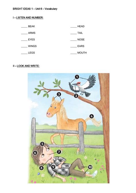 Bright Ideas 1 Unit 6 Vocabulary Worksheet