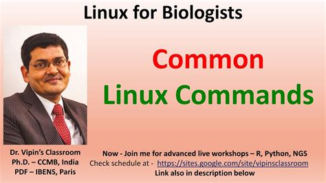 Linux1 Common Linux Commands Including Pwd Cd Ls Ls L Mkdir