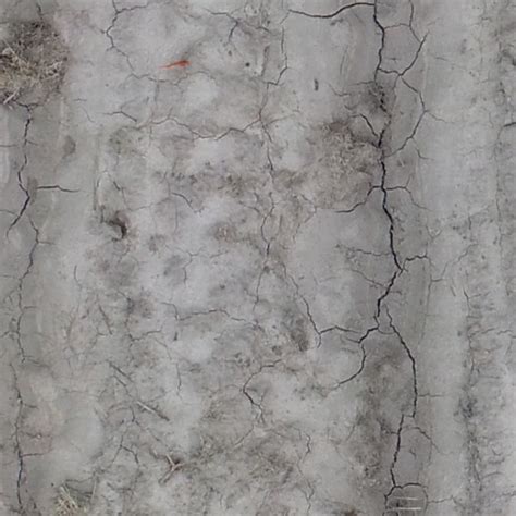 Cottonfinal Object Detection Dataset And Pre Trained Model By Mianhua