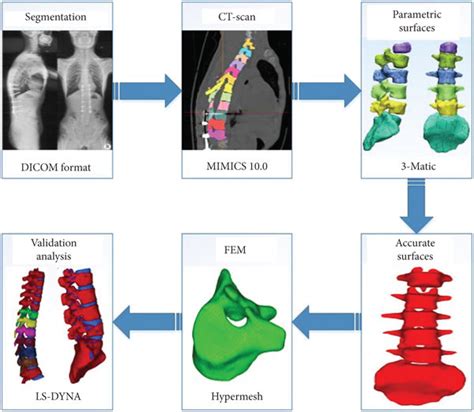 A The Entire Finite Element Model Of The Instrumented Spine Following