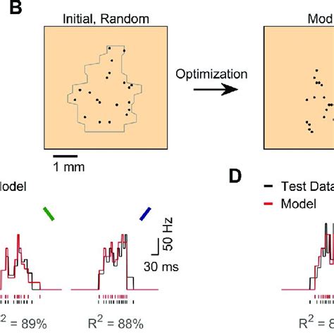 Data Driven Models Of First Order Tactile Neurons A The Model Neuron