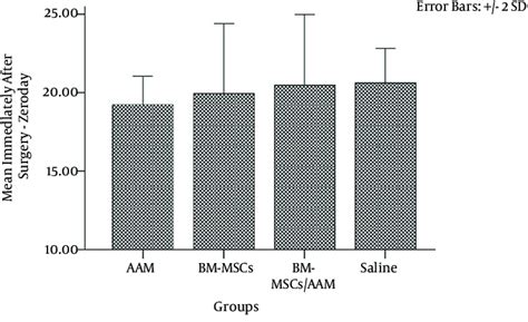 Mean SD Of RSF Size Of The Surface Areas On Day Download Scientific Diagram