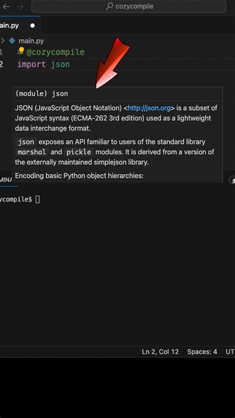 Are You Using The Json Module In Python