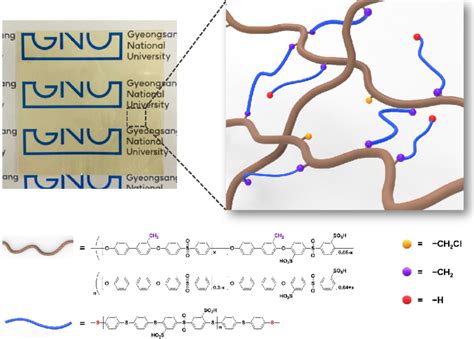 Schematic Illustration Of Cross Linked Spaes Membranes Prepared With