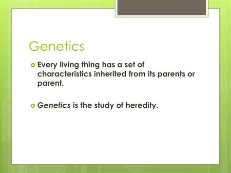 PPT Genetics PowerPoint Presentation Free Download ID