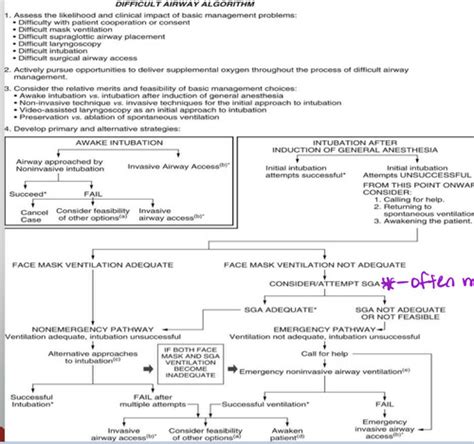 Airway Management Flashcards Quizlet