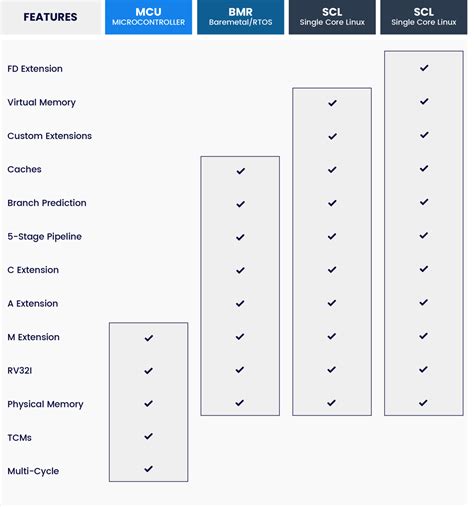 Xilinx Optimized Risc V Processors