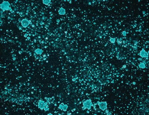 Dark Cyan Color A New Frontier In Aesthetic Editing For Artists