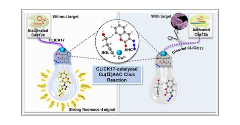 Crisprcas System Meets Click 17 Dnazyme A Click Chemistry Based