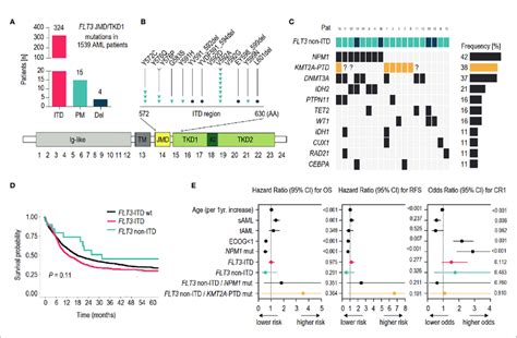 Clinical And Molecular Associations Of Flt3 Non Itd Mutations In Aml