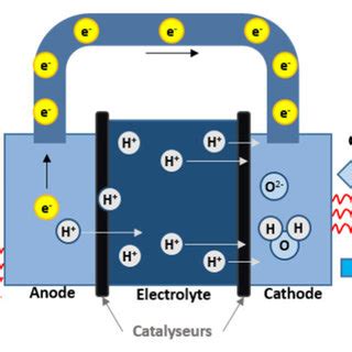 Equivalent Model Of The Fuel Cell Electrical Download Scientific Diagram