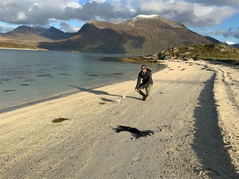 Thrilled To Be A Postdoc At The Uit The Arctic University Of Norway And Getting To Experience