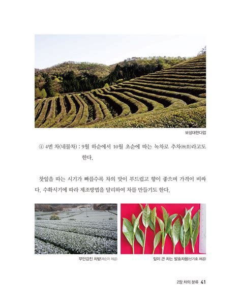 알라딘 미리보기 우리가 몰랐던 우리 차 세계 차의 놀라운 비밀