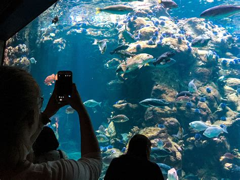 Romantic Things To Do In San Francisco 31 Date Ideas For Couples
