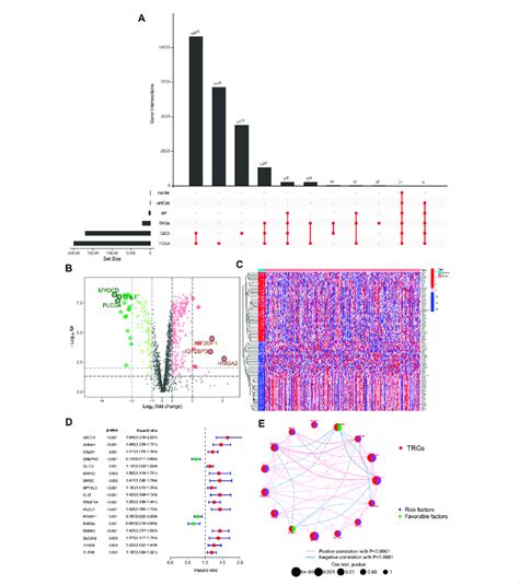 Prognostically Relevant Differential Genes Are Obtained A Upset Plot