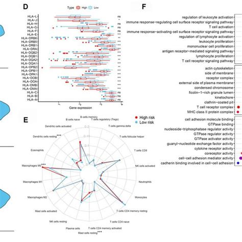 Tumor Immune Microenvironment Of Patients In High And Low Risk Groups Download Scientific