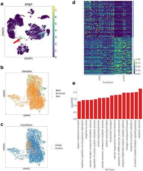 Integration Of Three Single Cell Datasets And Overview Of The