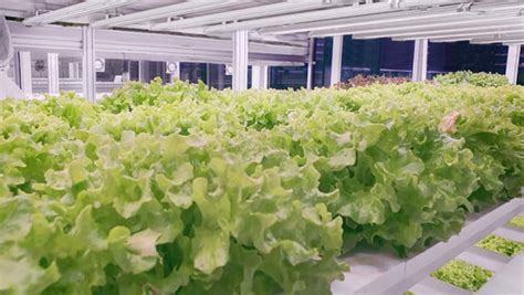 Dont Get Lost In Deep Space Understanding Quaternions Technical Articles