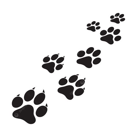 Animal Paw Prints Path Vector Animal Paw Prints Footprints Png And