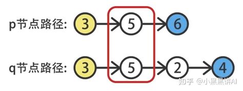 二叉树中两节点的最近公共祖先leetcode 236 知乎