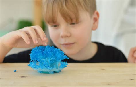 Crystallization Experiment Procedure Factors Safety2025