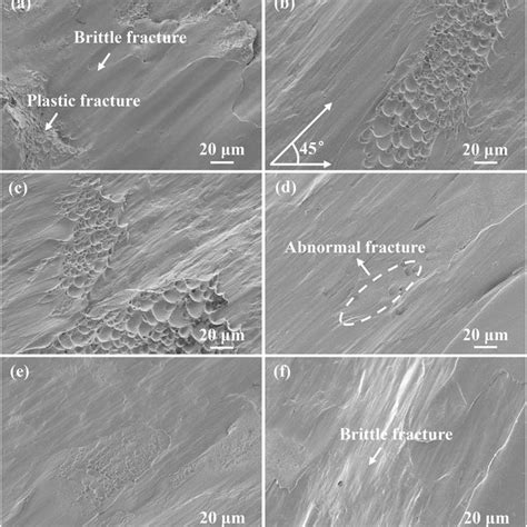 Fracture Morphology Of Compressed Specimens A No 0 B No 2 C Download Scientific