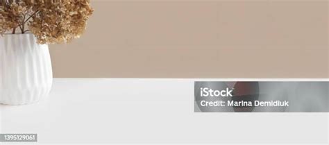 테이블에 현대 흰색 세라믹 꽃병에 말린 수국 꽃 텍스트를위한 공간 추상적인 최소한의 디자인 벽에 대한 테이블 위의 마른 잔디 보여줄 장면 쇼케이스 디스플레이 부드러운 그림자