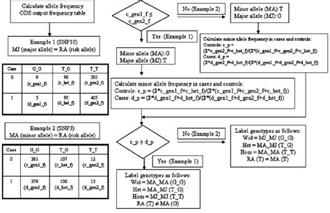 Detailed Algorithm For Step 2 Risk Allele Assignment Example 1
