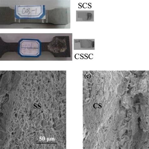 Tensile Specimens And Surface Morphologies Of The Tensile Specimens Download Scientific