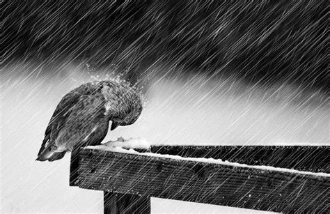 리뷰스토리 비오는 날 듣기 좋은 노래 모음