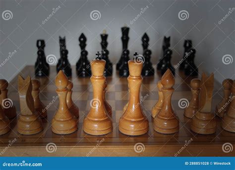 Same Sex Power Couple Metaphor Stock Photo Image Of Homosexual