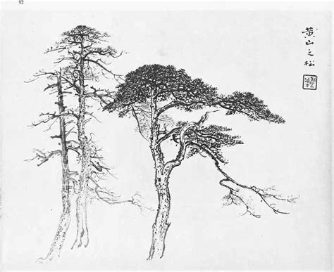 Ink Drawing Of Two Trees In The Snow