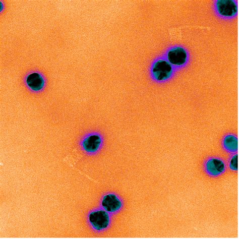 Scientists Use DNA Origami To Monitor CRISPR Gene Targeting