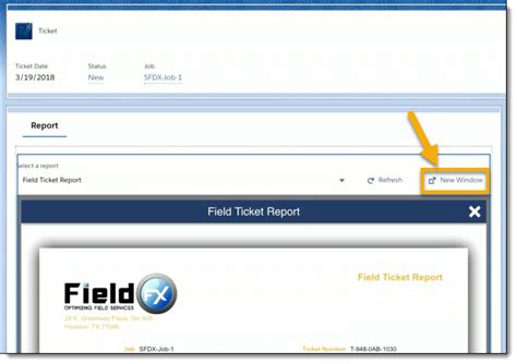 FXL Report Viewer FieldFX Documentation
