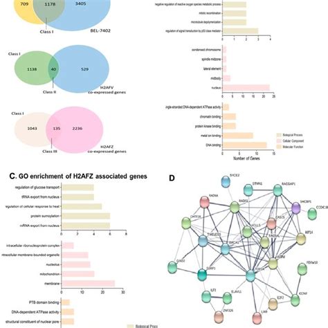 Functional Annotations From Intersecting Genes Of Chip Seq Genes And Download Scientific