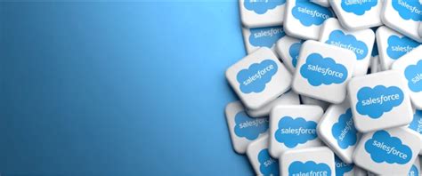 Salesforce Integration Architecture Salesforce Partner Welisa