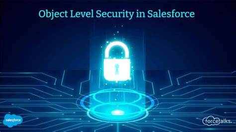 Object Level Security In Salesforce The Salesforce Security Guide Forcetalks