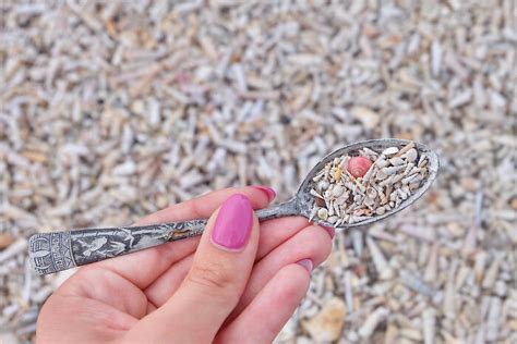 I Made Jewellery Using Shells From An Enchanting Beach Bored Panda